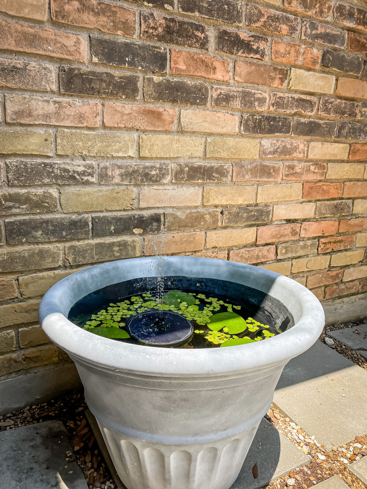 DIY Container Pond + Fountain - www.4009decorates.com